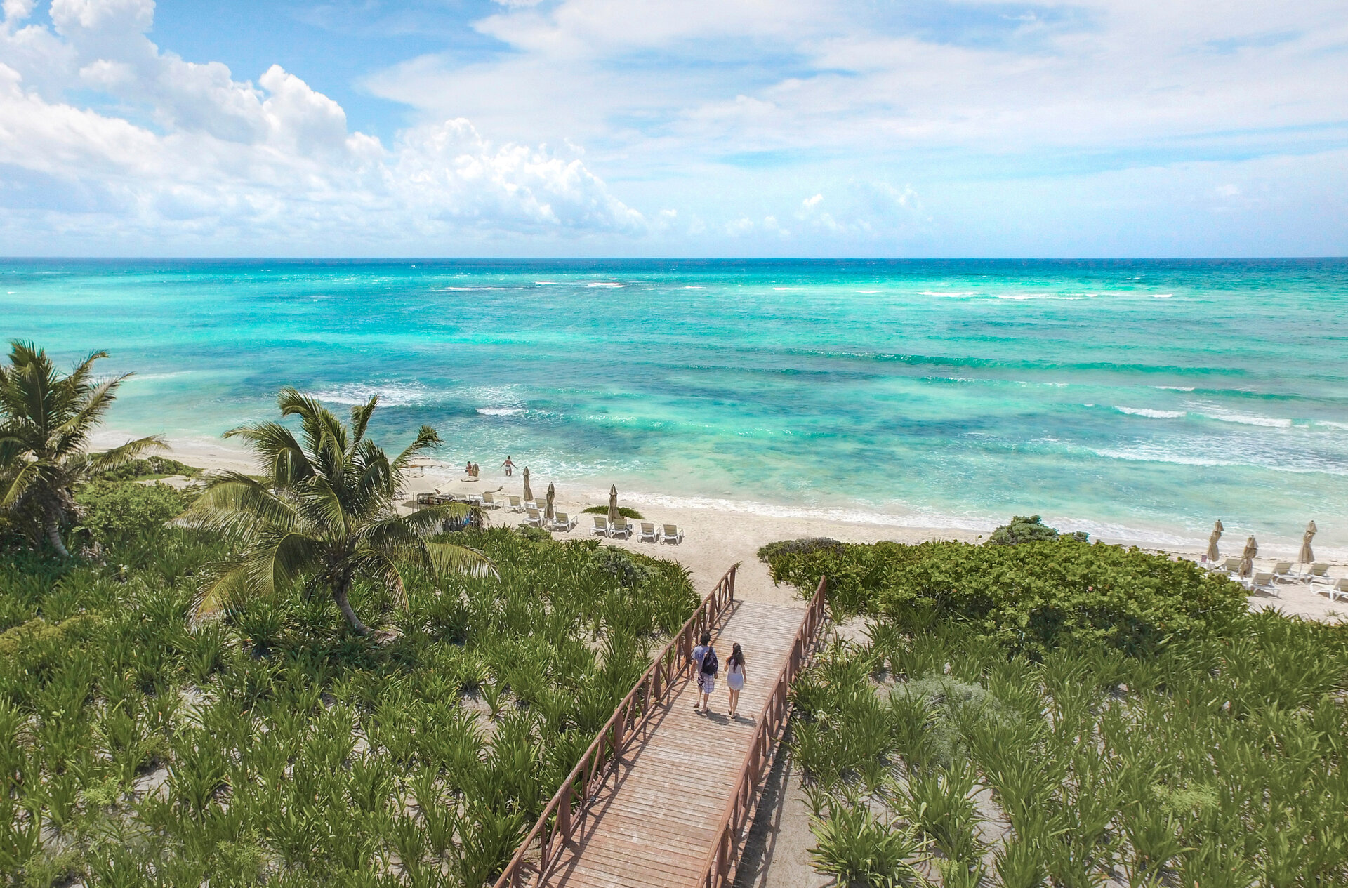 Our Story | Unico 20°87°